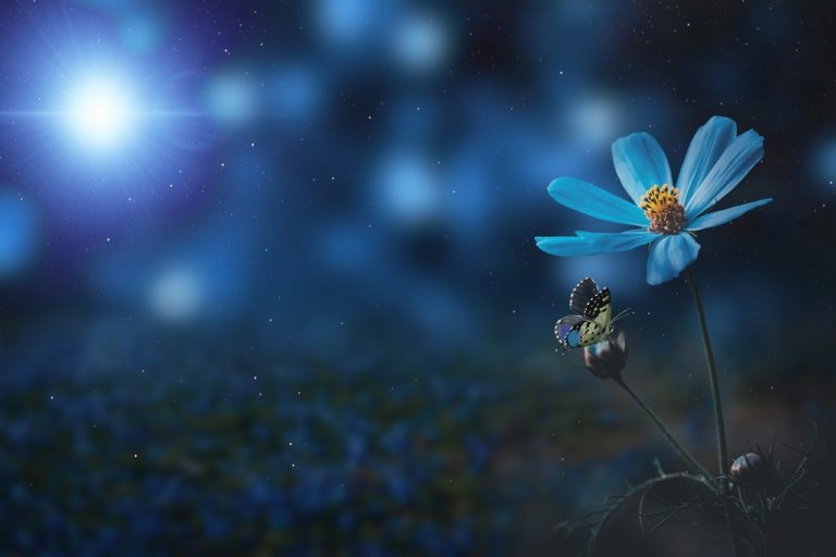 Rêve et Psychologie 😴 : Tout savoir sur le rêve et son interprétation